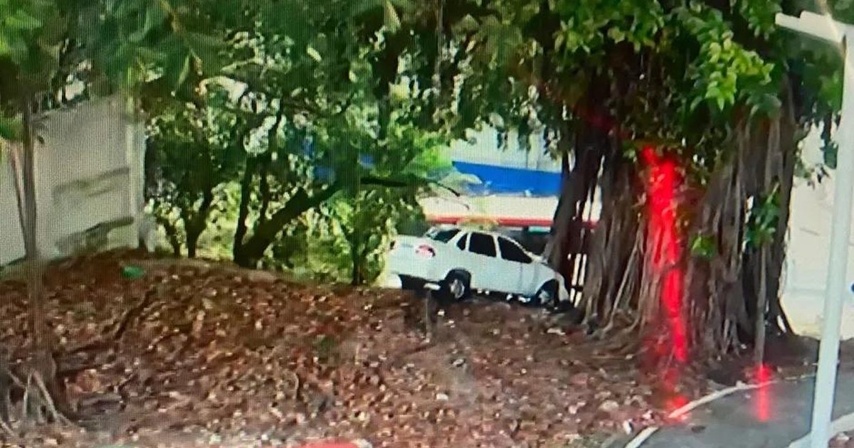 Francês News | Notícias do Nordeste, Brasil e do mundo em Tempo Real