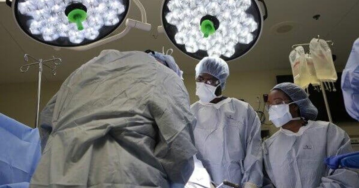 China realiza 1º transplante de fígado e rins de porco para humano