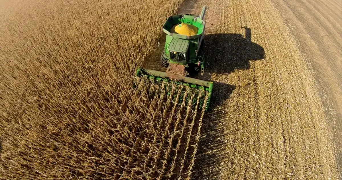 FGV: itens agropecuários desaceleram inflação no atacado no IGP-DI de maio