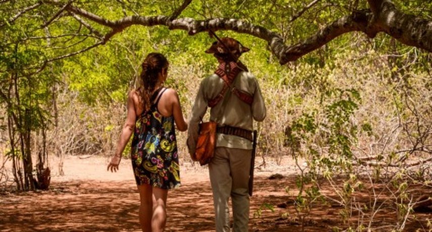 Alagoas a pé: trilhas e paisagens de tirar o fôlego | Visite Alagoas