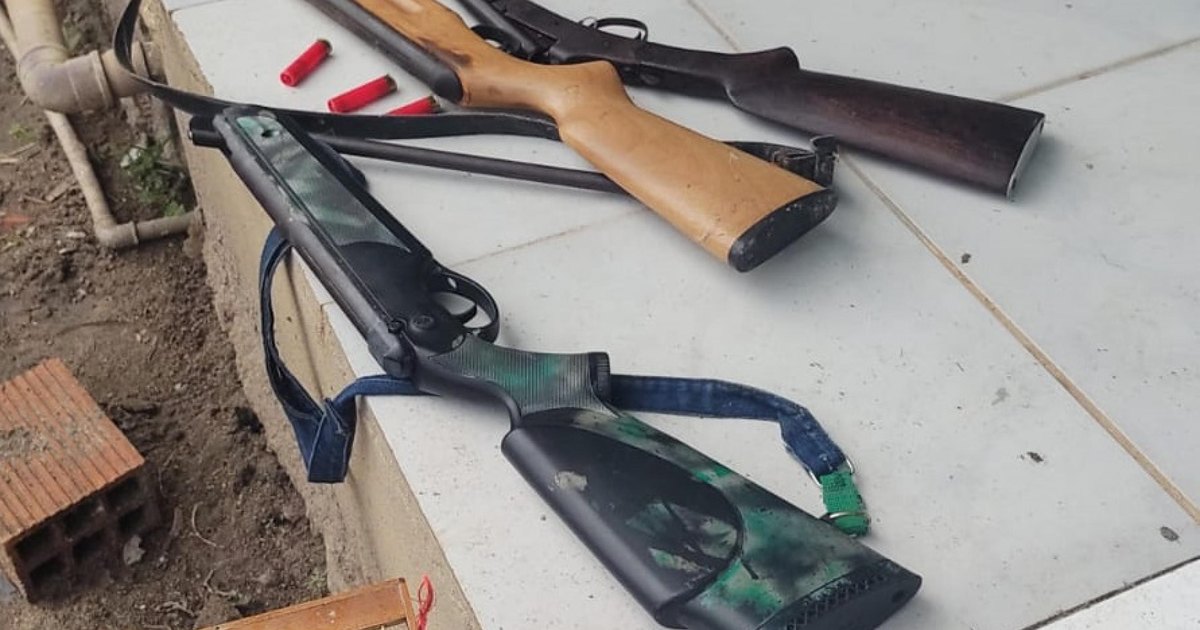 PM apreende armas, resgata 60 pássaros silvestres e interdita abate ...