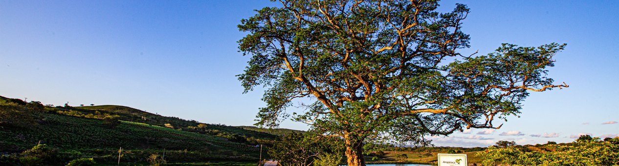 Agreste | Destino | Visite Alagoas