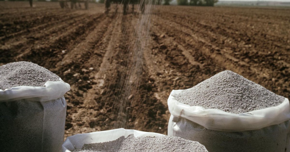 Parceria Rússia-EAU em fertilizantes fortalece geopolítica dos países e ...
