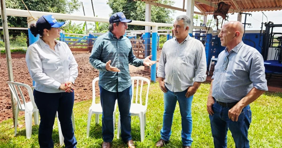 1º Teste de Desempenho e Eficiência Alimentar Nelore Pelagens destaca ...